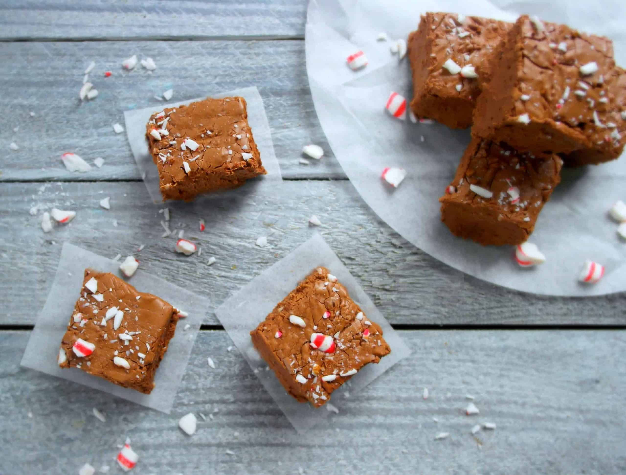 Peppermint Mocha Fudge | Teaspoon Of Goodness